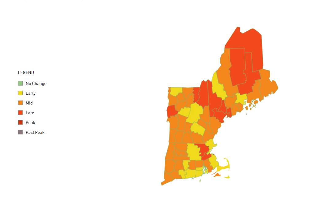 Here's a 2024 fall foliage map for all of New England