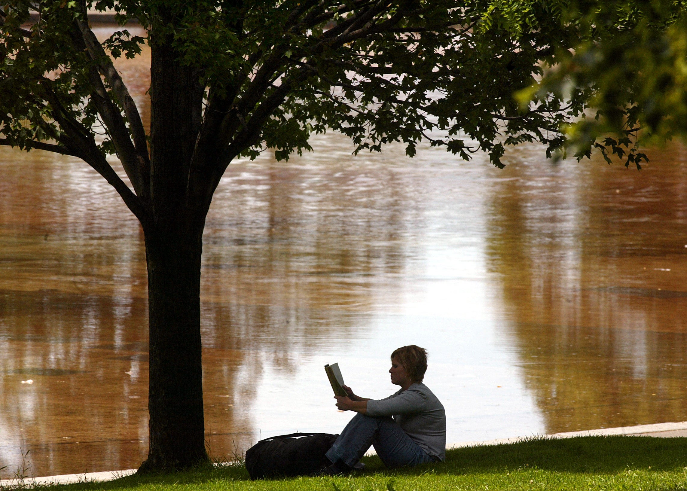 16 books that local experts say you should read on your study breaks