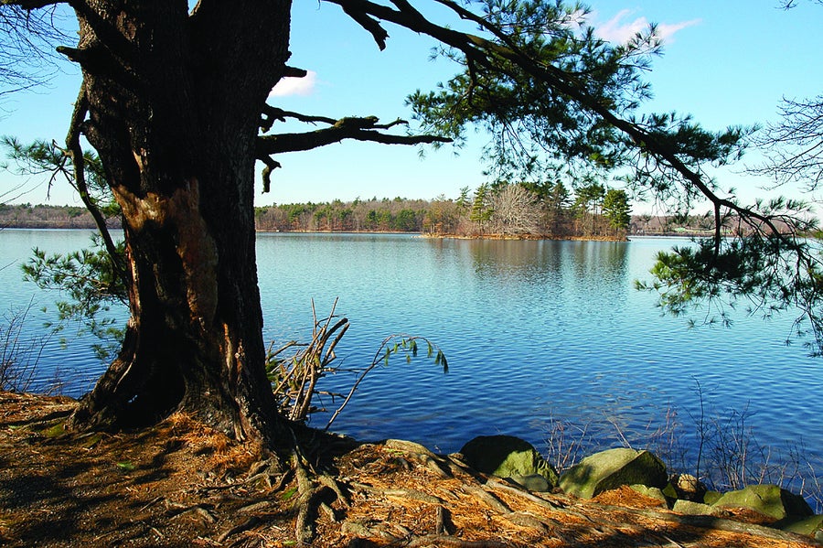 6 beautiful Massachusetts winter hiking spots to tackle this season