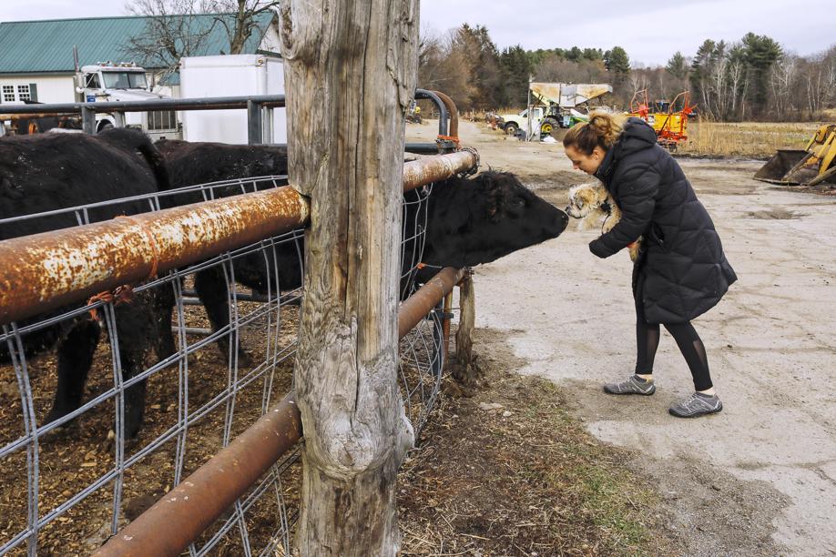 What is it like to live in Littleton, MA?