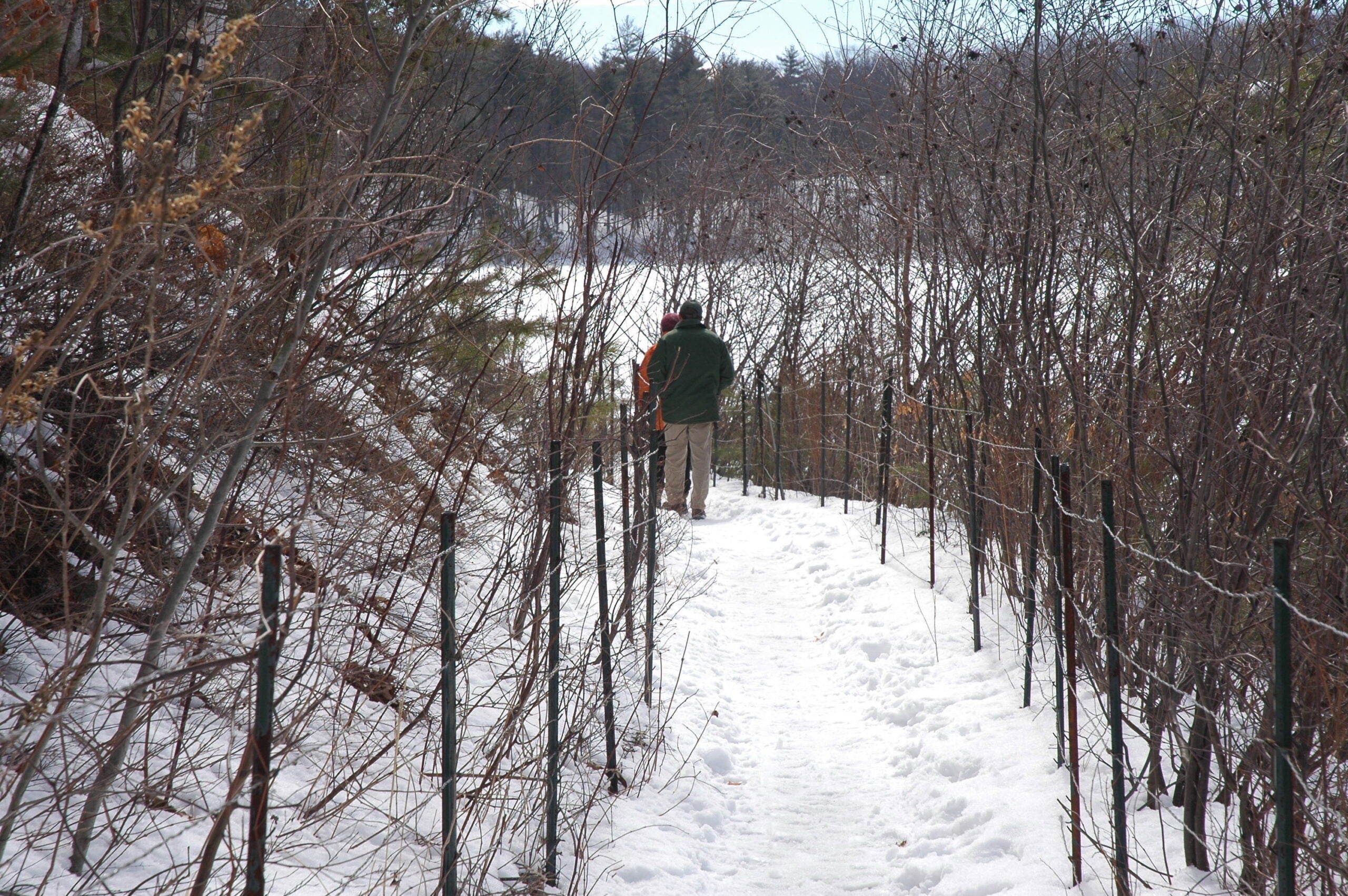 Begin the new year outdoors with one of these 12 First Day Hikes