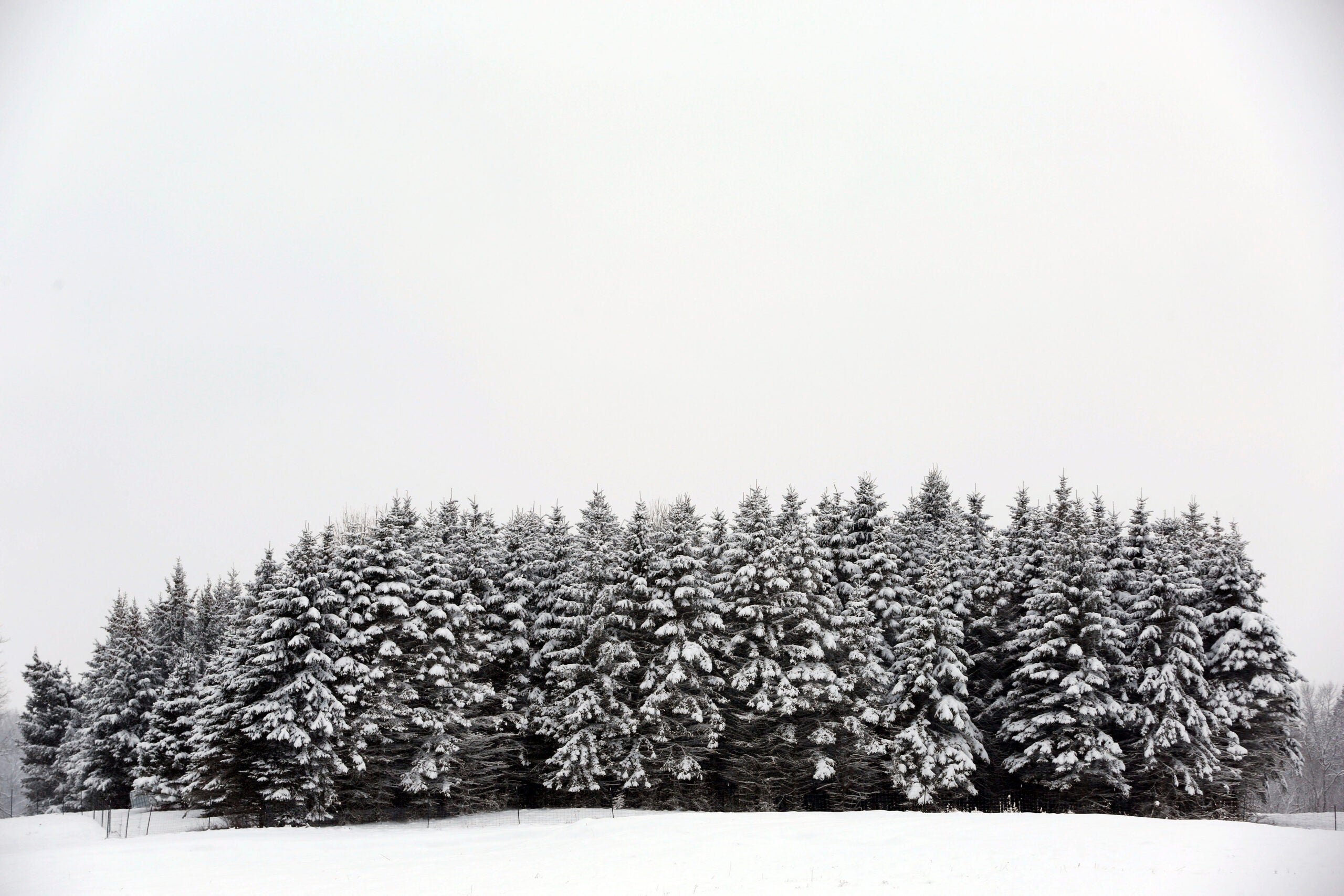 7 maps predicting how much snow to expect on Wednesday