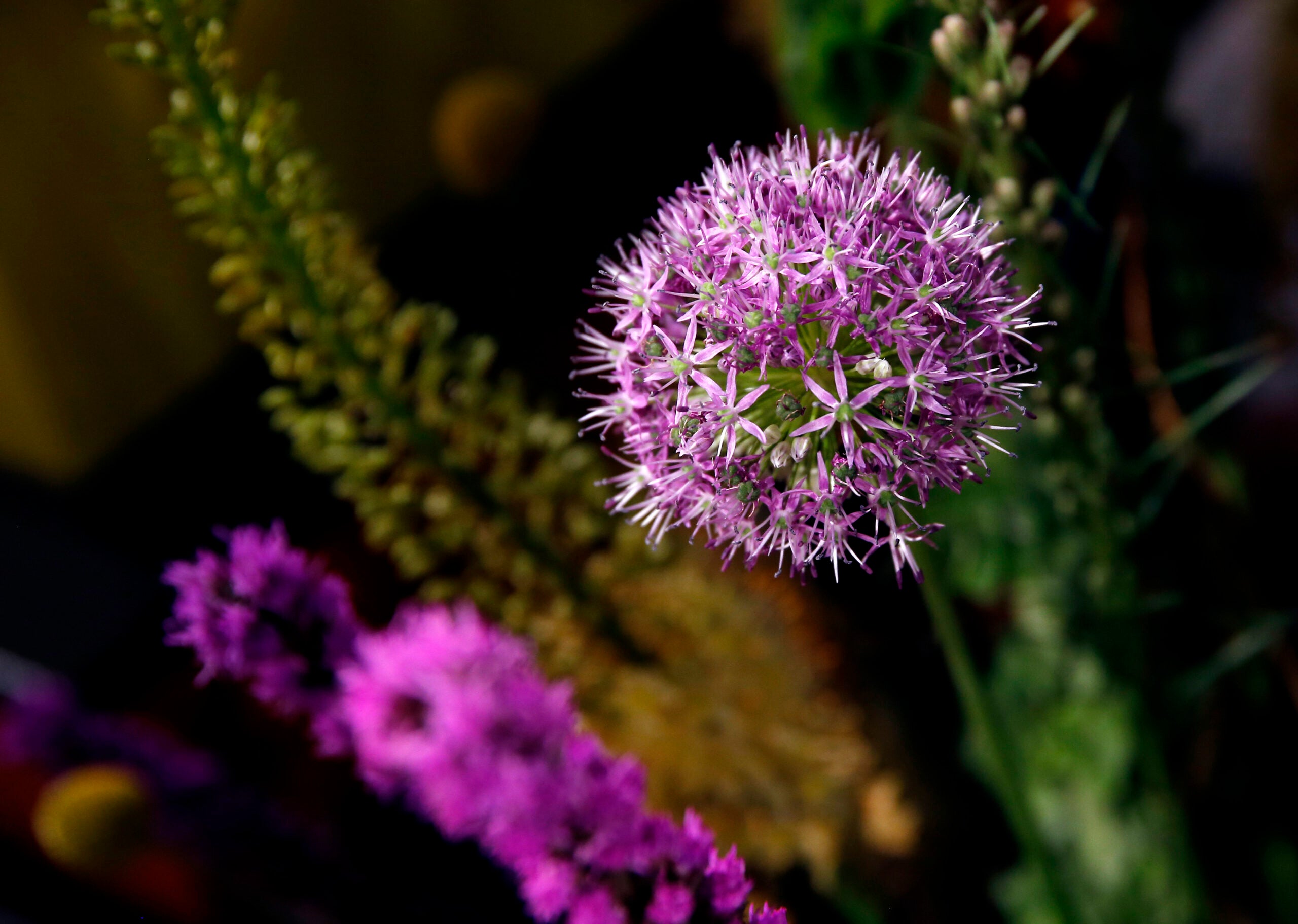 Scenes from the Boston Flower & Garden Show