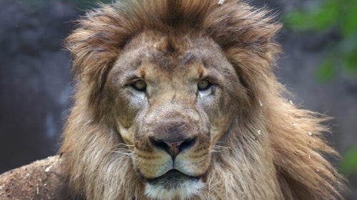 Trustees of Reservations opens 13 more Mass. properties