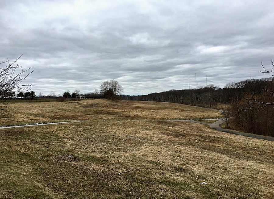 Boston’s best sledding slopes, according to a dad who visited 350 area ...