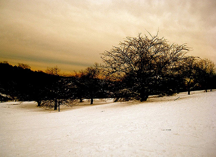 Boston’s best sledding slopes, according to a dad who visited 350 area ...