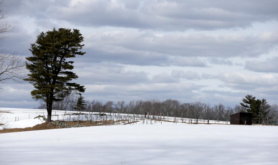 What is it like to live in Webster, MA?