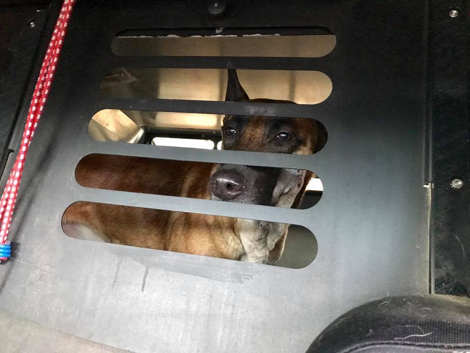 New statement from authorities details moments before shooting of Yarmouth officer