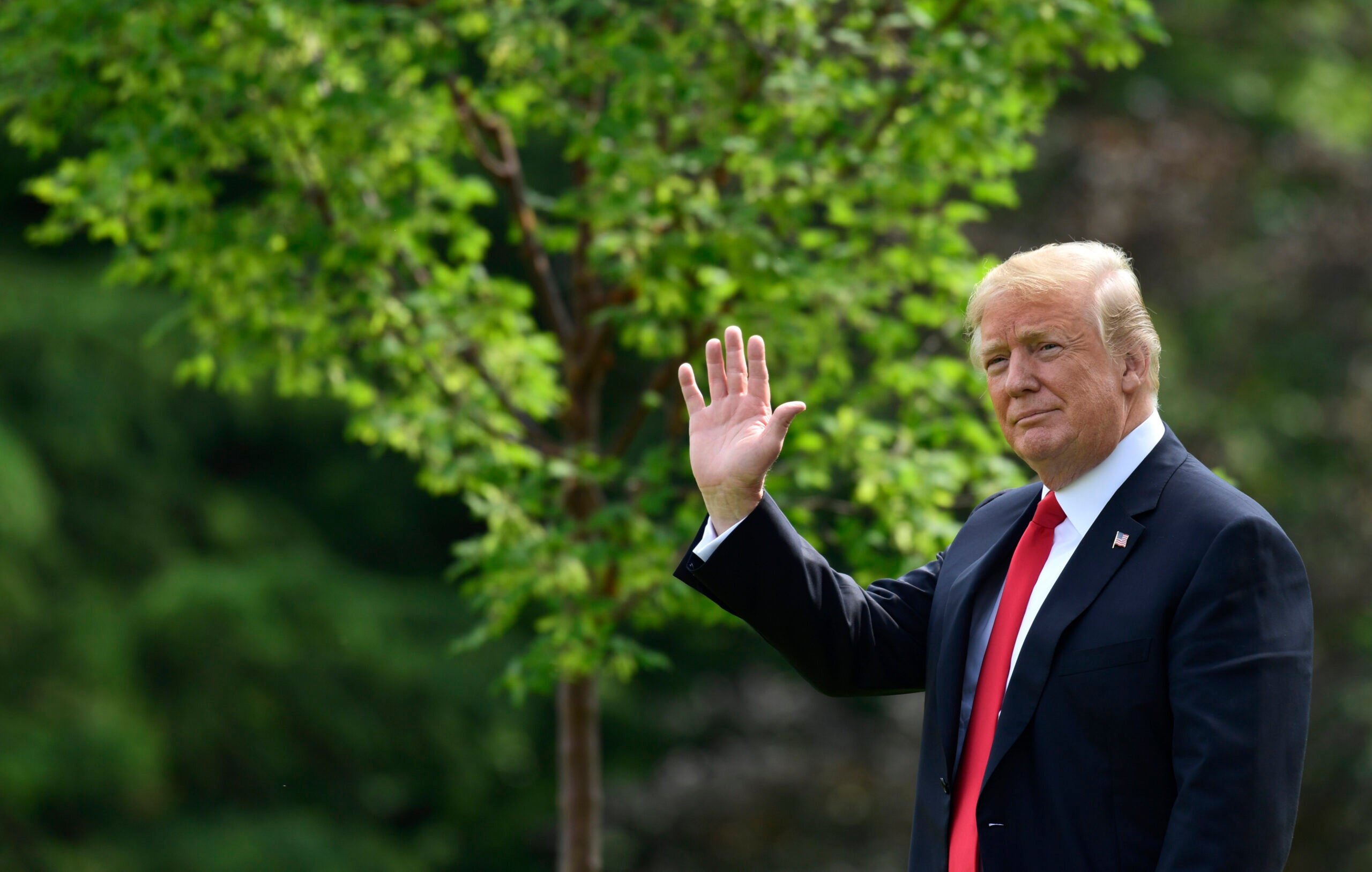 Trump to hold a sports field day at the White House