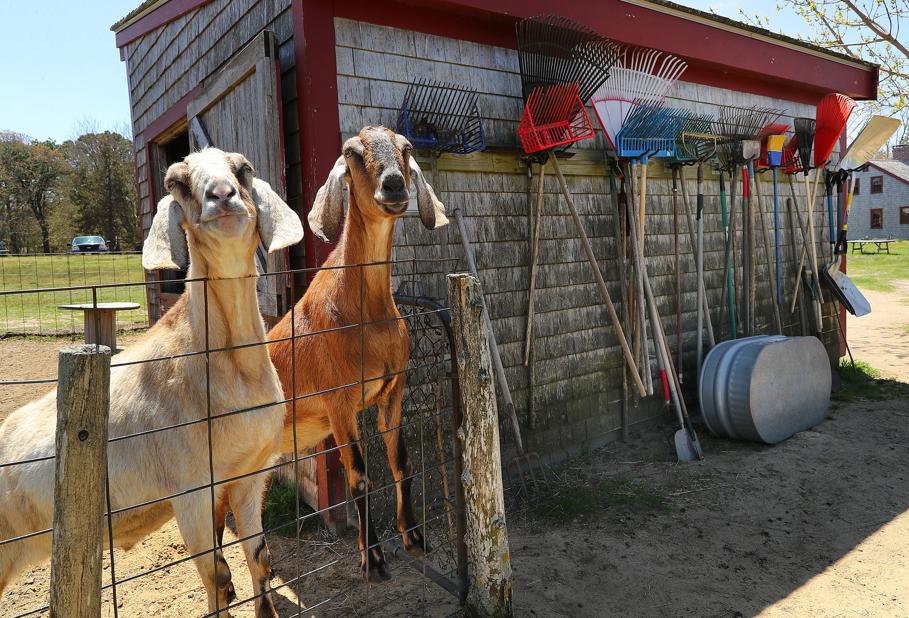 What is it like to live in Yarmouth, MA?