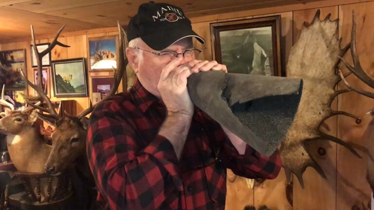 More than 1,600 attempt to set Guinness record for moose call in Maine