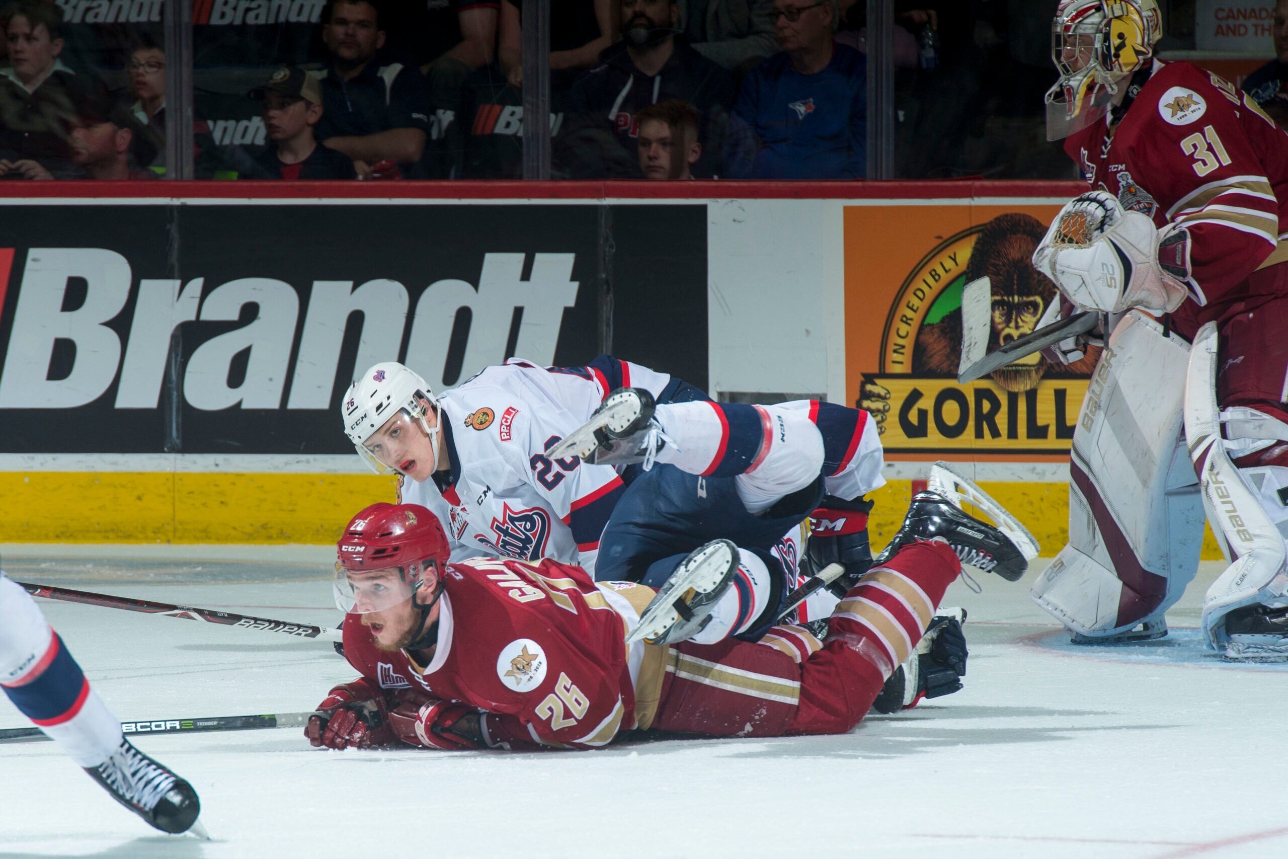 Prospect Olivier Galipeau signs with Bruins after spurning Canadiens