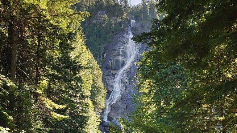 3 YouTube thrill-seekers die in waterfall accident in Canada