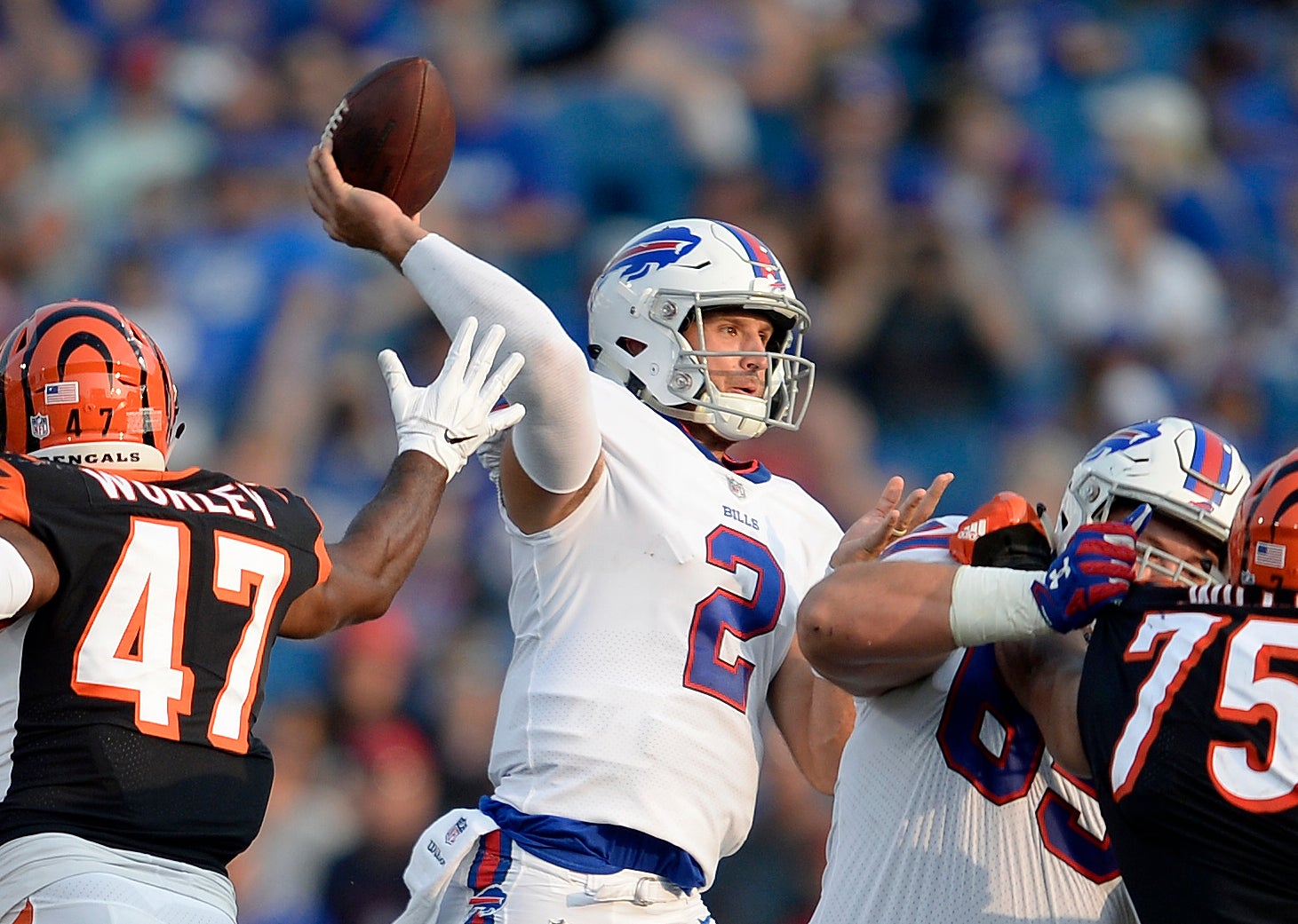 Bill tab Nathan Peterman as starting quarterback