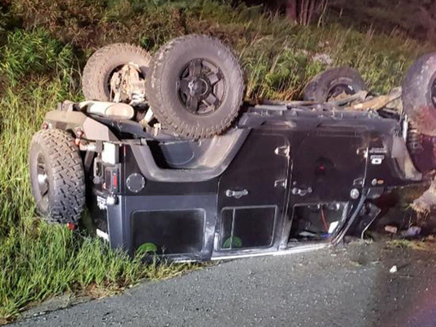 ‘Very large moose’ dies after being struck by two vehicles in New Hampshire