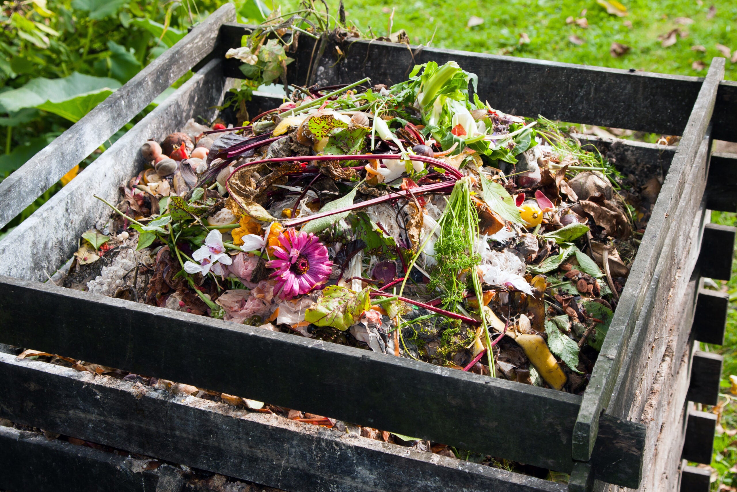 Ask the Gardener: Can you reuse container soil?