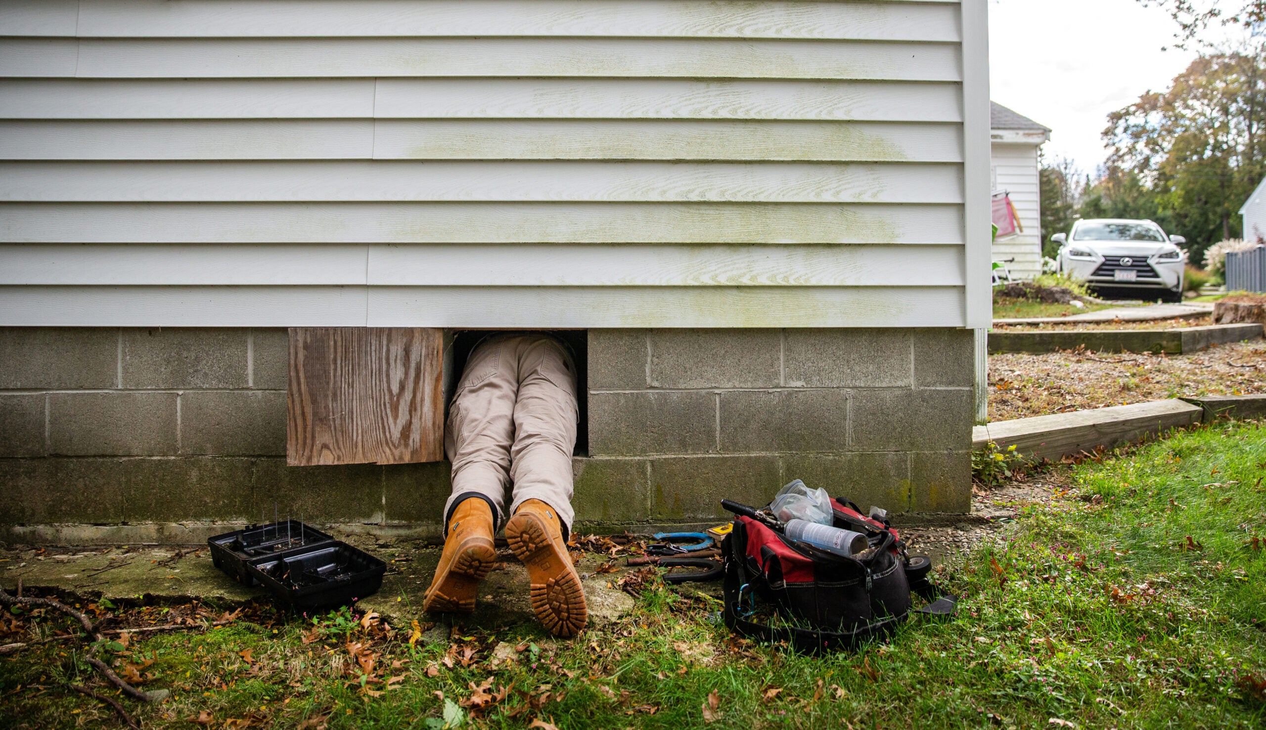 Rats suddenly surge in Boston suburbs