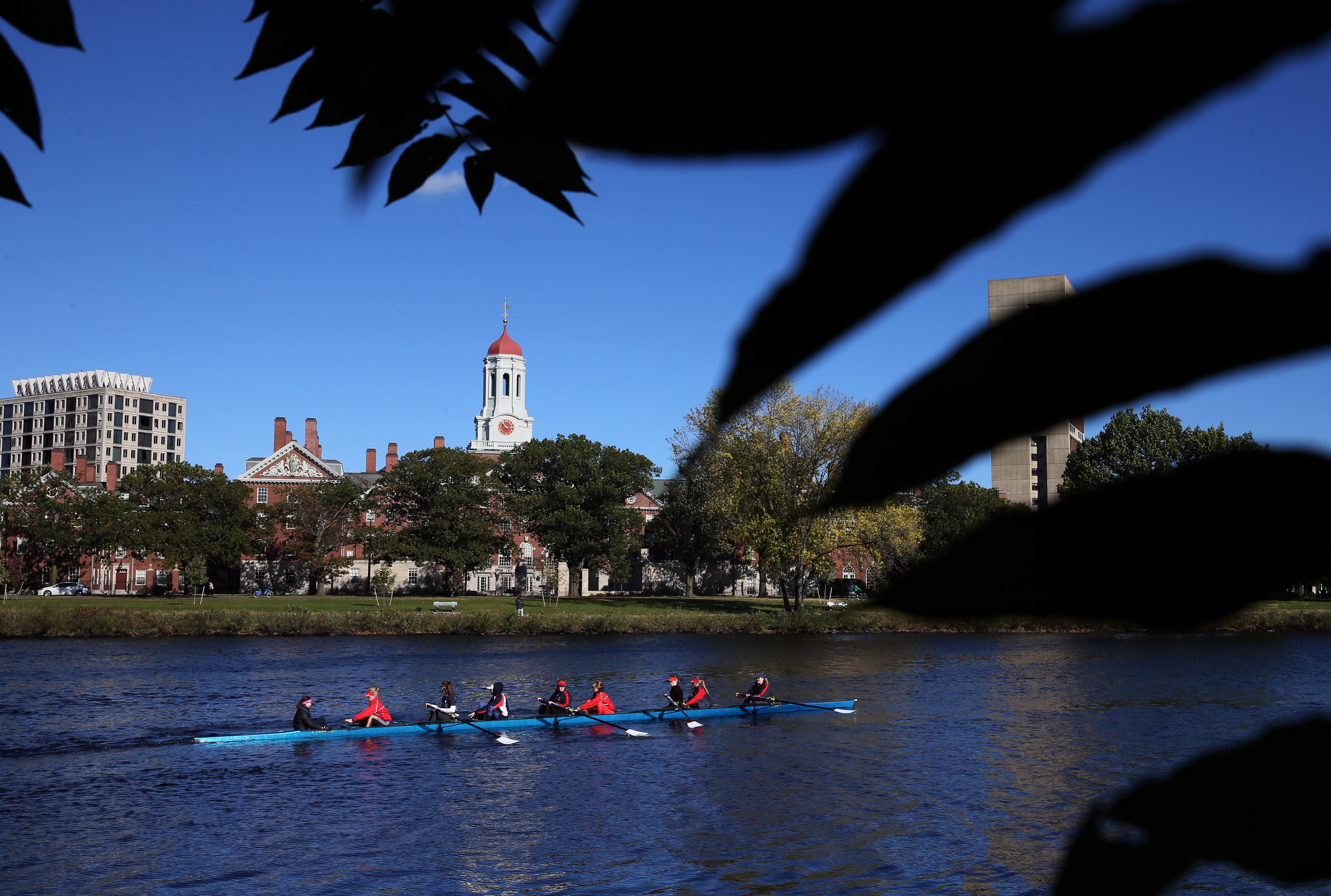 20 picture-perfect photos from the Head of the Charles Regatta