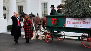 Trump, first lady accept official White House Christmas tree