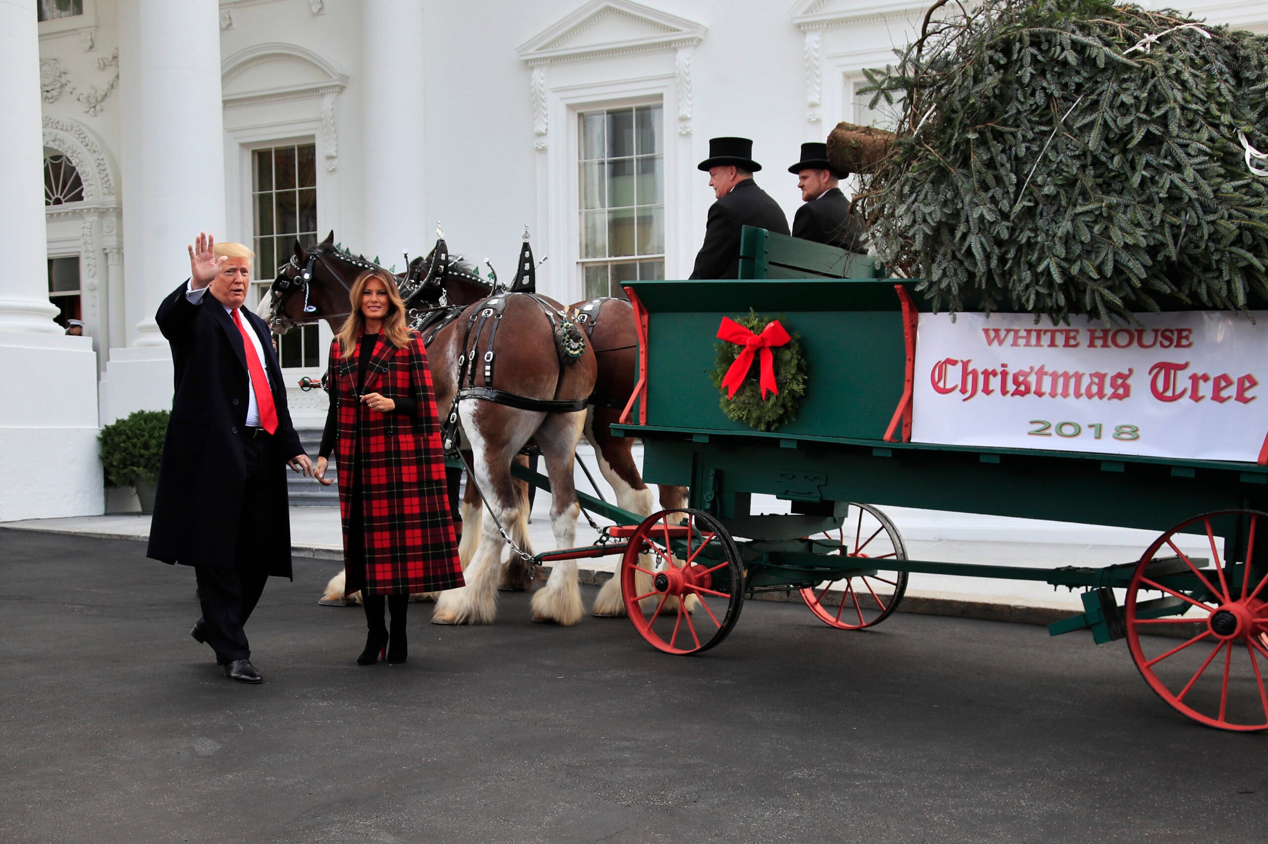 Trump, first lady accept official White House Christmas tree