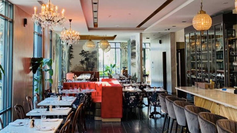 Food: Restaurant openings, foodie trends, and so much more