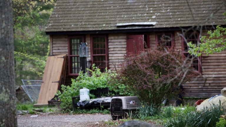 No criminal charges in dog mauling death of 14-year-old Rehoboth boy