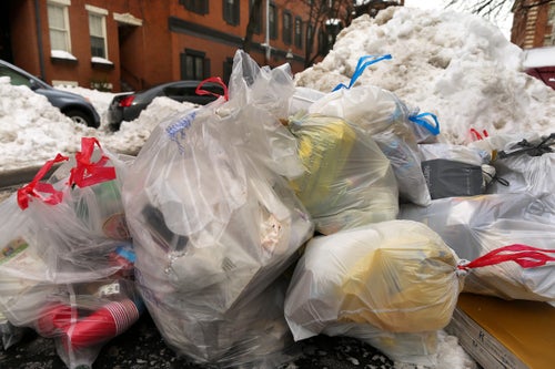 Rats suddenly surge in Boston suburbs