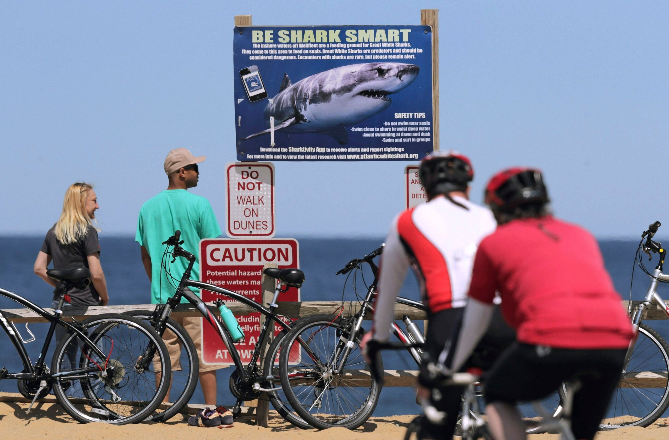 Sharks, tornadoes and taxes: Cape Cod's had a tough summer
