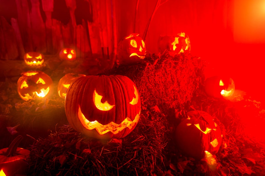 New England has the best destination in America for fall foliage ...