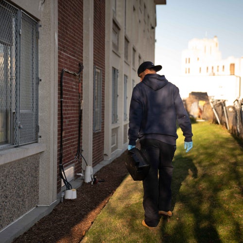 'Help! It's an explosion': Boston residents report a rise in rat ...