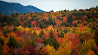 New England has 6 of the best fall foliage road trips