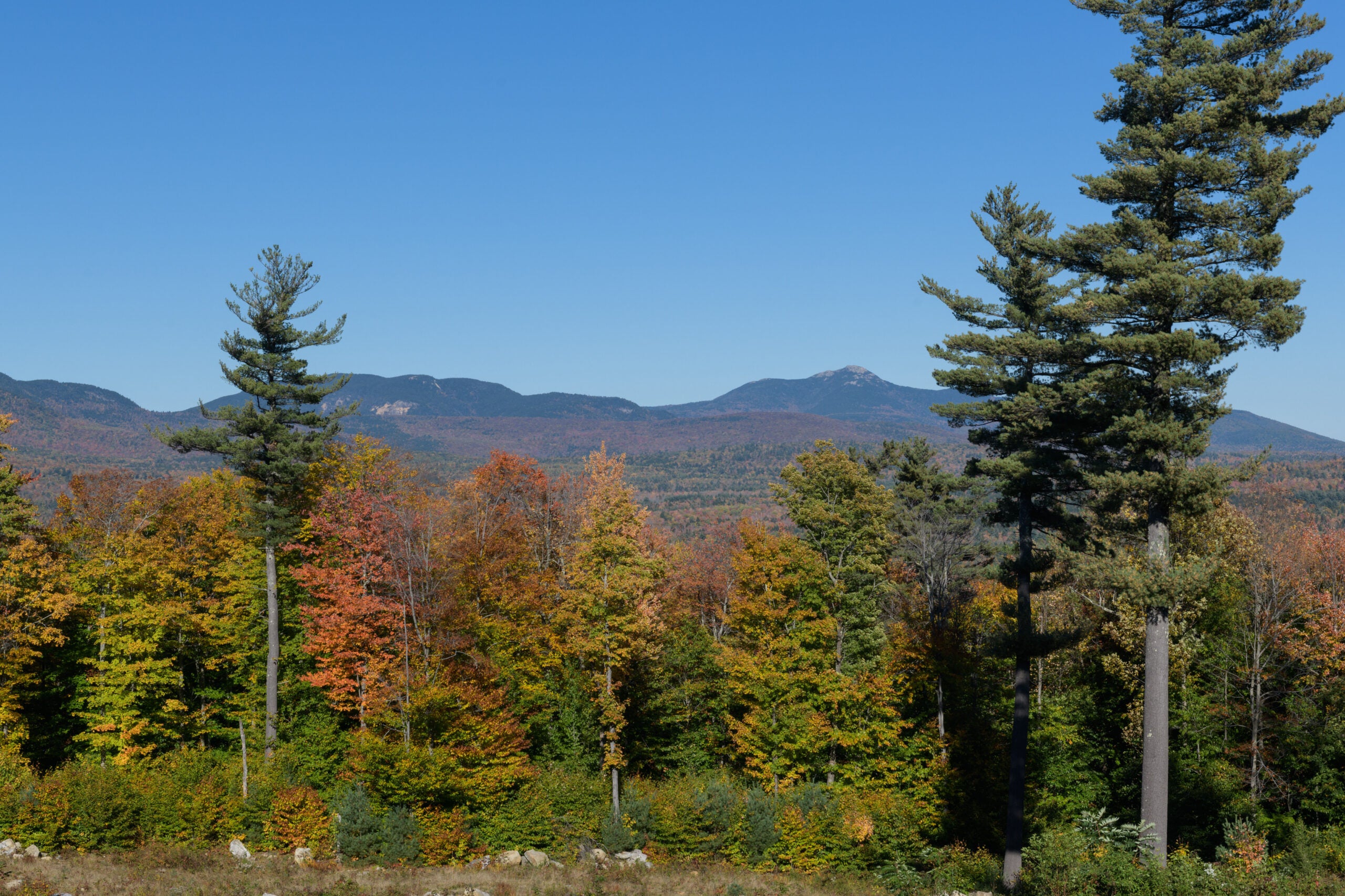 Vacation home goes green in the White Mountains