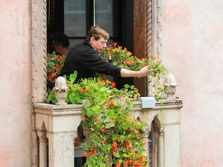 Family announces death of Anthony Martignetti, who starred in iconic ...