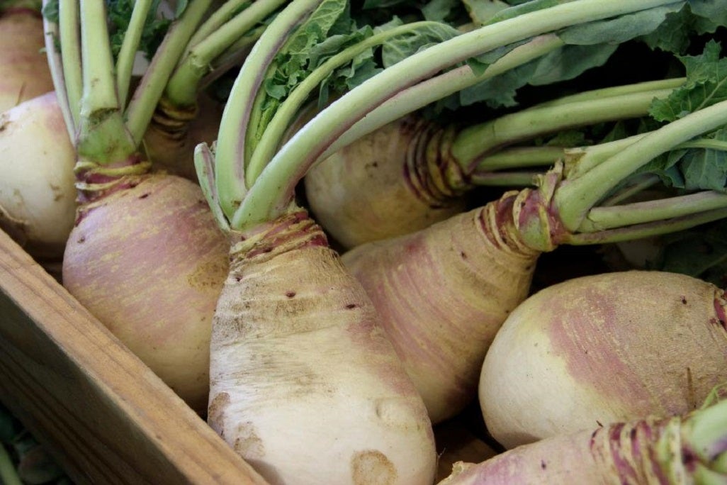 Ask the Gardener: A turnip that is turning heads