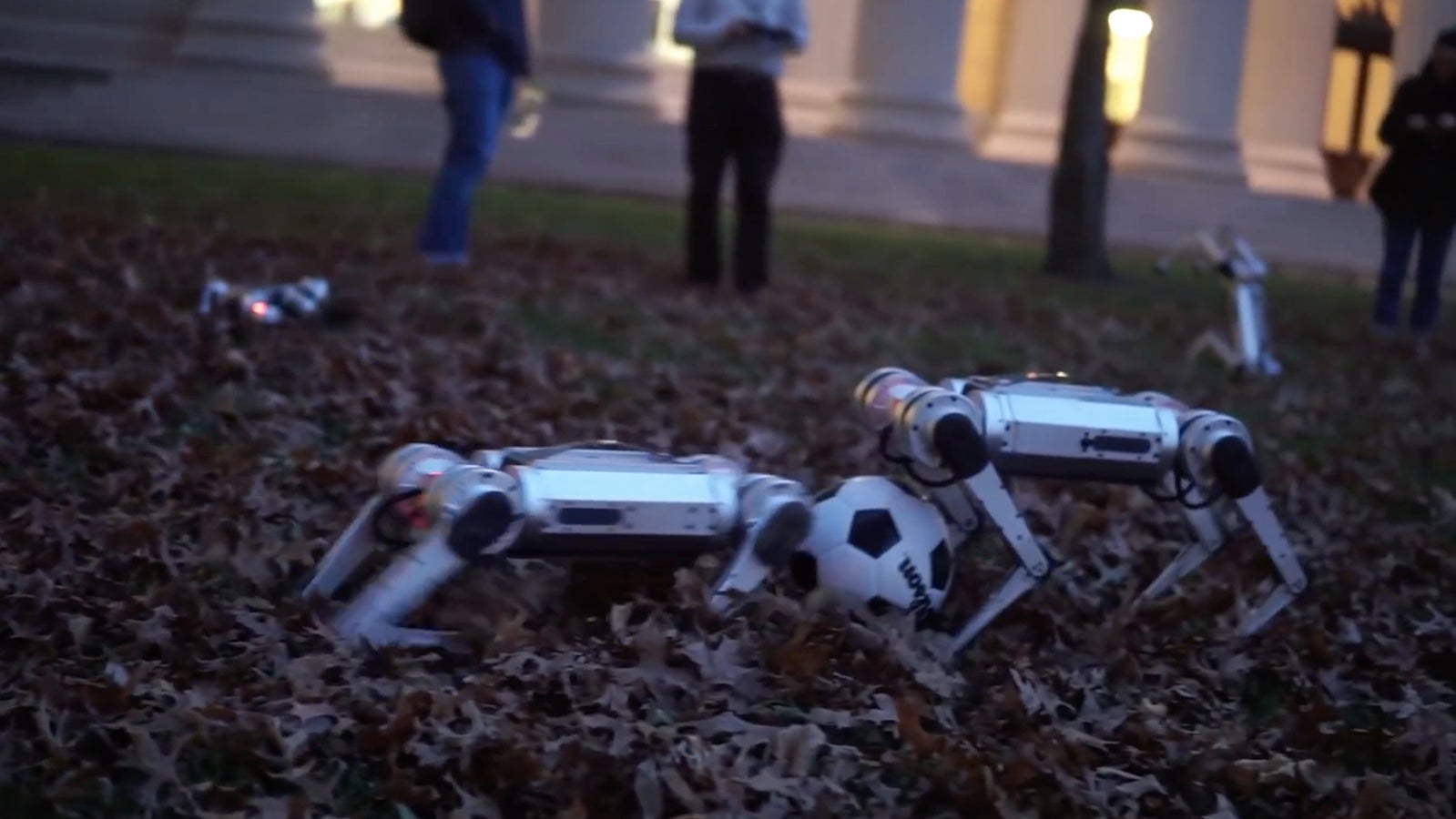 MIT | Page 6 of 40 | Boston.com