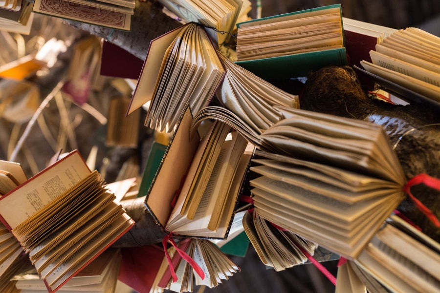 These were the most borrowed books from the Boston Public Library in 2019