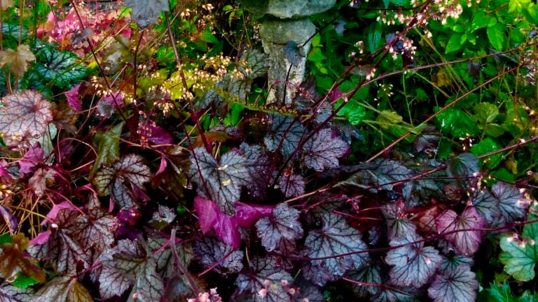 Gardening trends for 2020? Think unconventional and sustainable - Ask ...