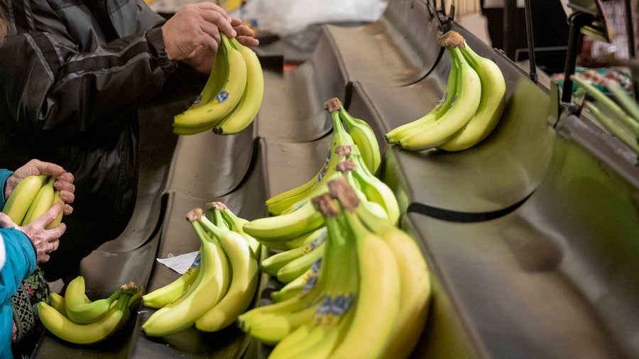 Fruits, vegetables, and herbs: A seasonal guide to Massachusetts produce