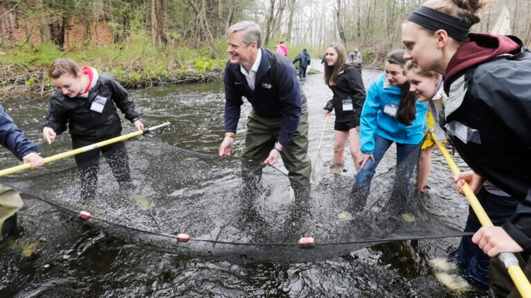 Mass. fish and wildlife officials to start trout stocking program