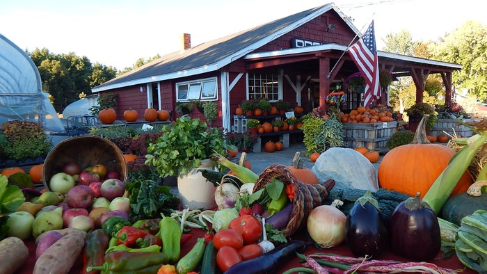 Thinking about visiting a pick-your-own farm? Here's what you need to know.