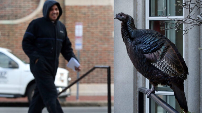 7 breathtaking photos to remind you that Boston is beautiful