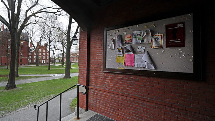 'The real Good Will Hunting': For years he worked construction on ...