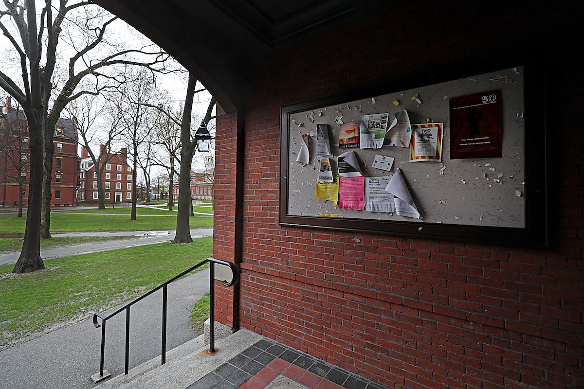 Harvard will be 'open' in the fall, but what does that mean?