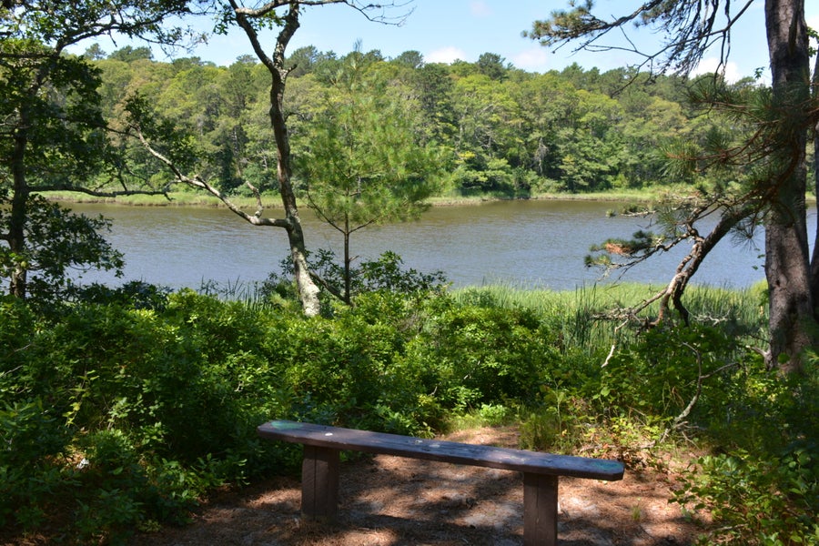 15 Cape Cod hiking destinations, one for every town