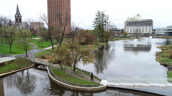 UMass Amherst has released its reopening plan for the fall. Here's what ...