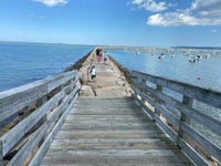 50 things to do outside this spring across Massachusetts