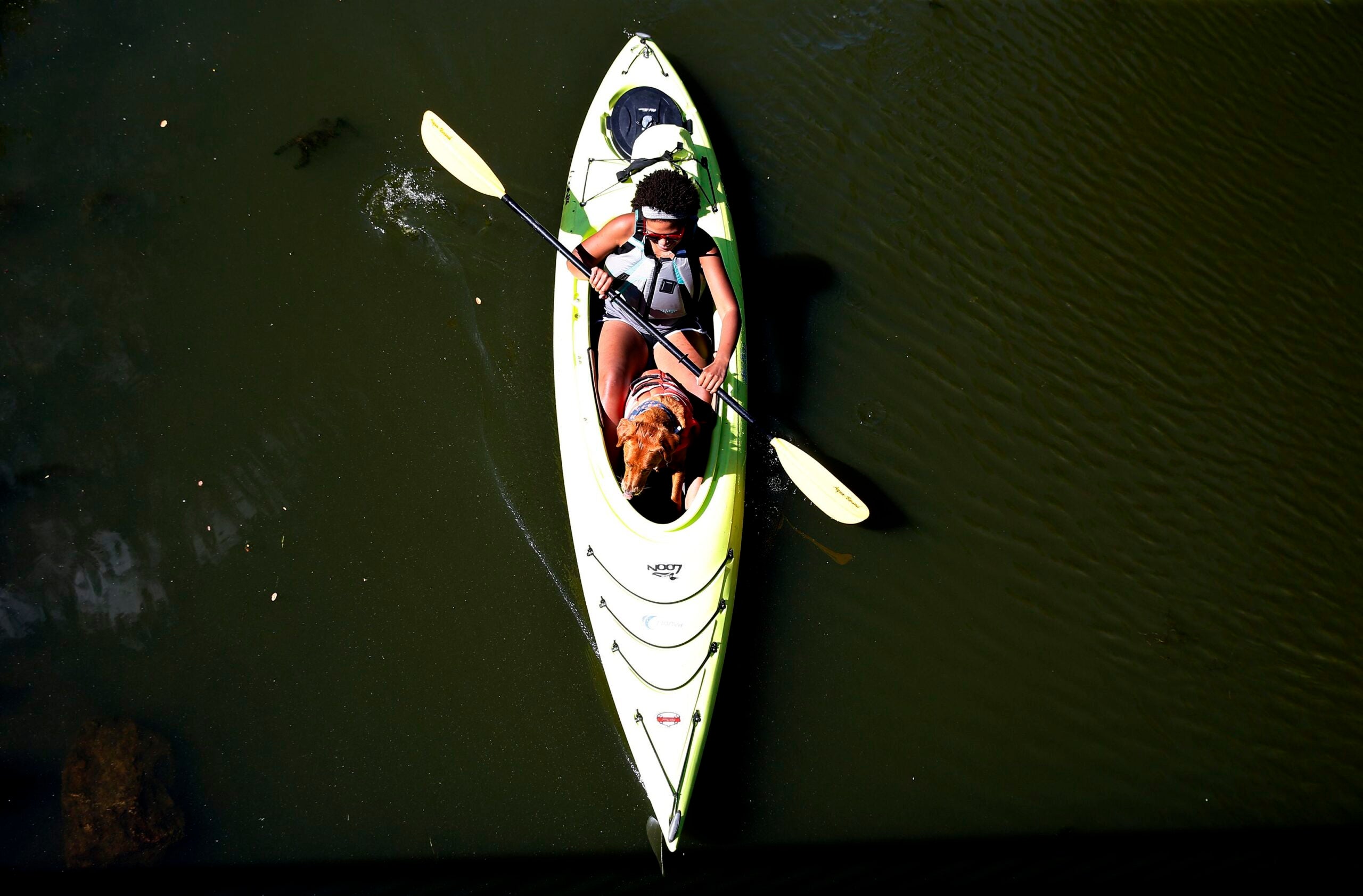 Paddle Boston temporarily shutters Allston location after worker tests ...