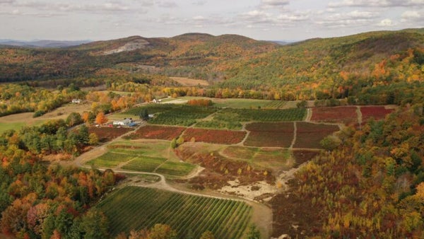 The best apple orchard in New England, according to Boston.com readers
