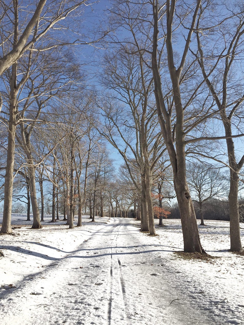 50 things to do outside this winter across Massachusetts