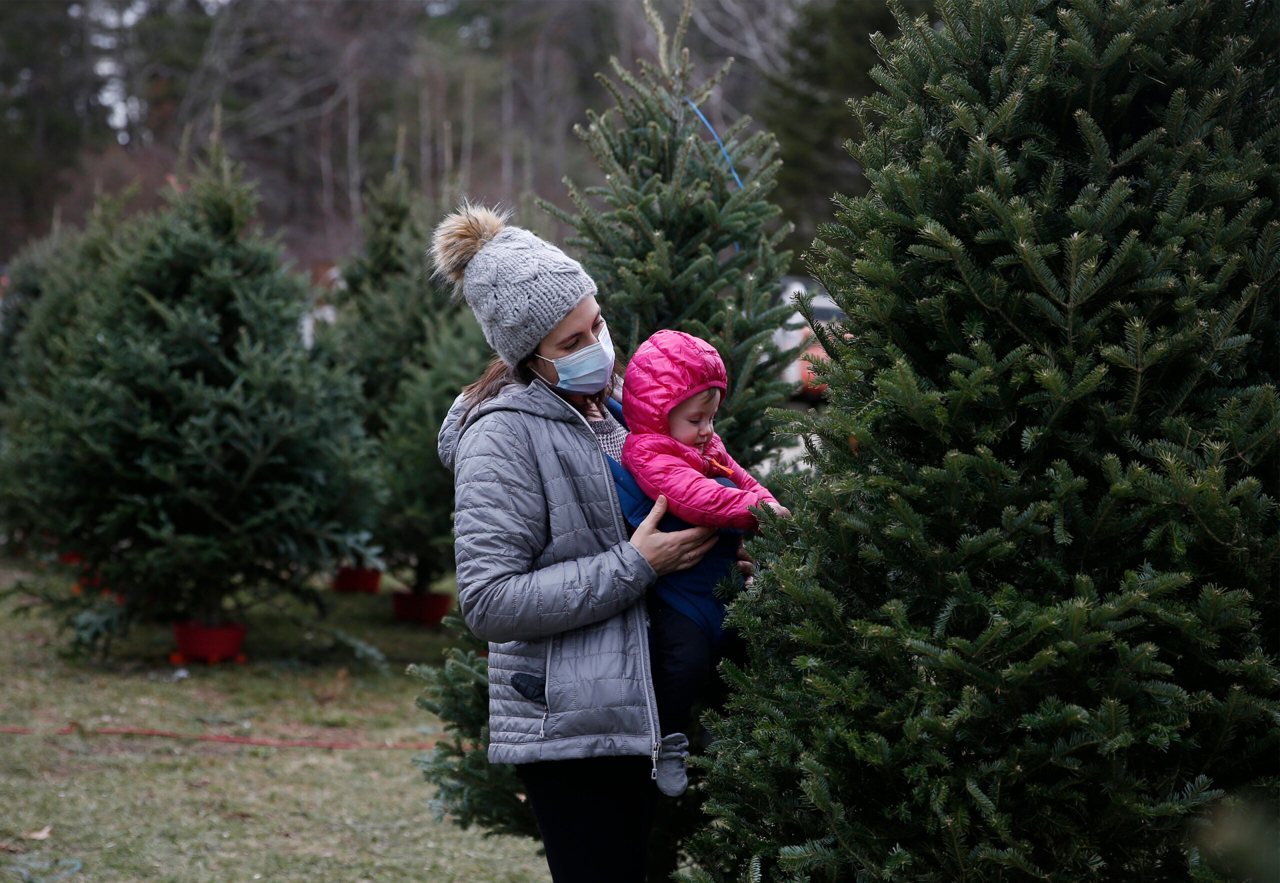 Here's what to expect from Tuesday's weather forecast